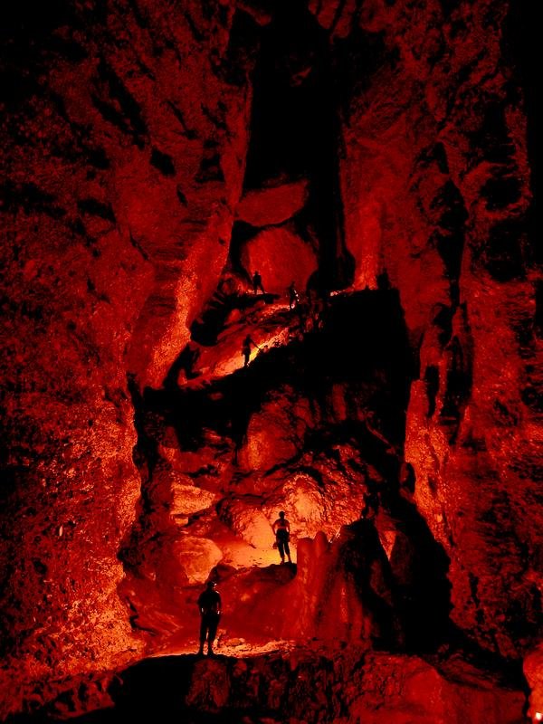 A vida nas cavernas - Planeta