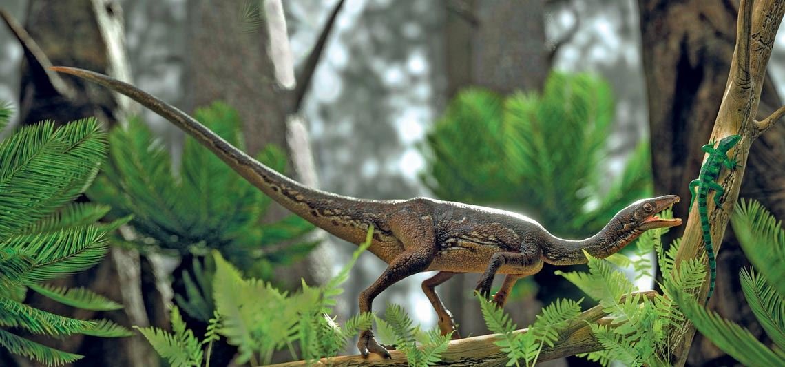 Dinossauro primitivo tinha cérebro avançado - Planeta