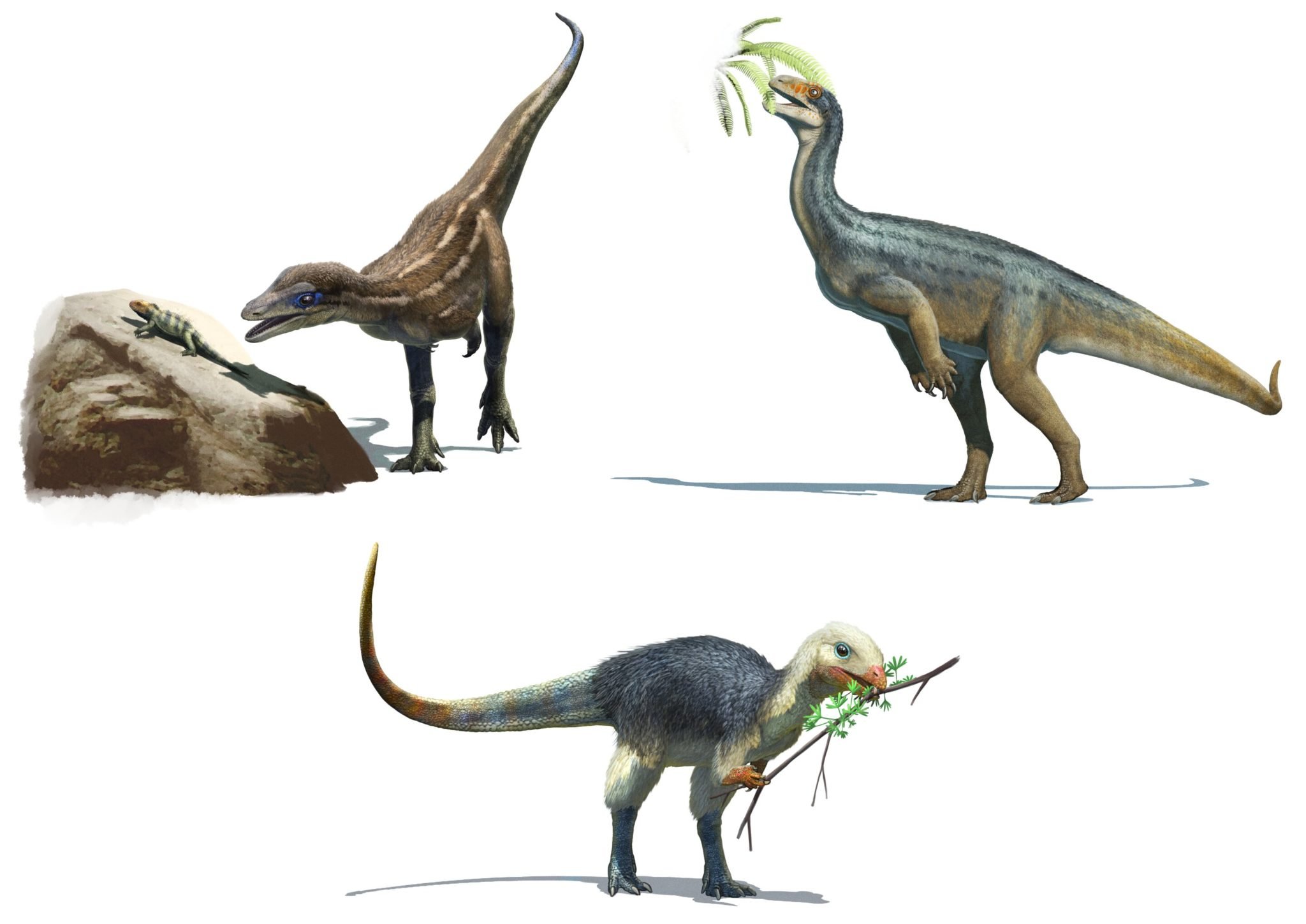 Primeiros dinossauros eram onívoros, descobrem cientistas - Planeta