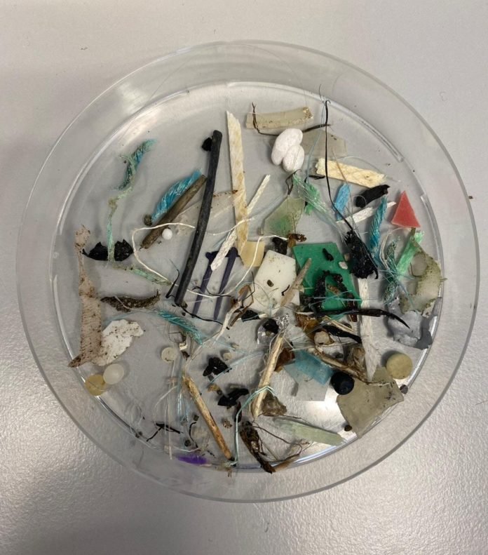 Detritos de plástico no Ártico vêm de todo o mundo - Planeta